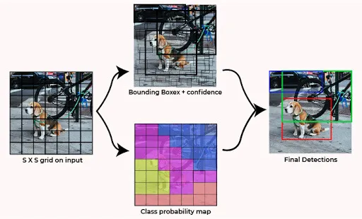The Only YOLOv11 Multi-Labeling Guide You’ll Ever Need